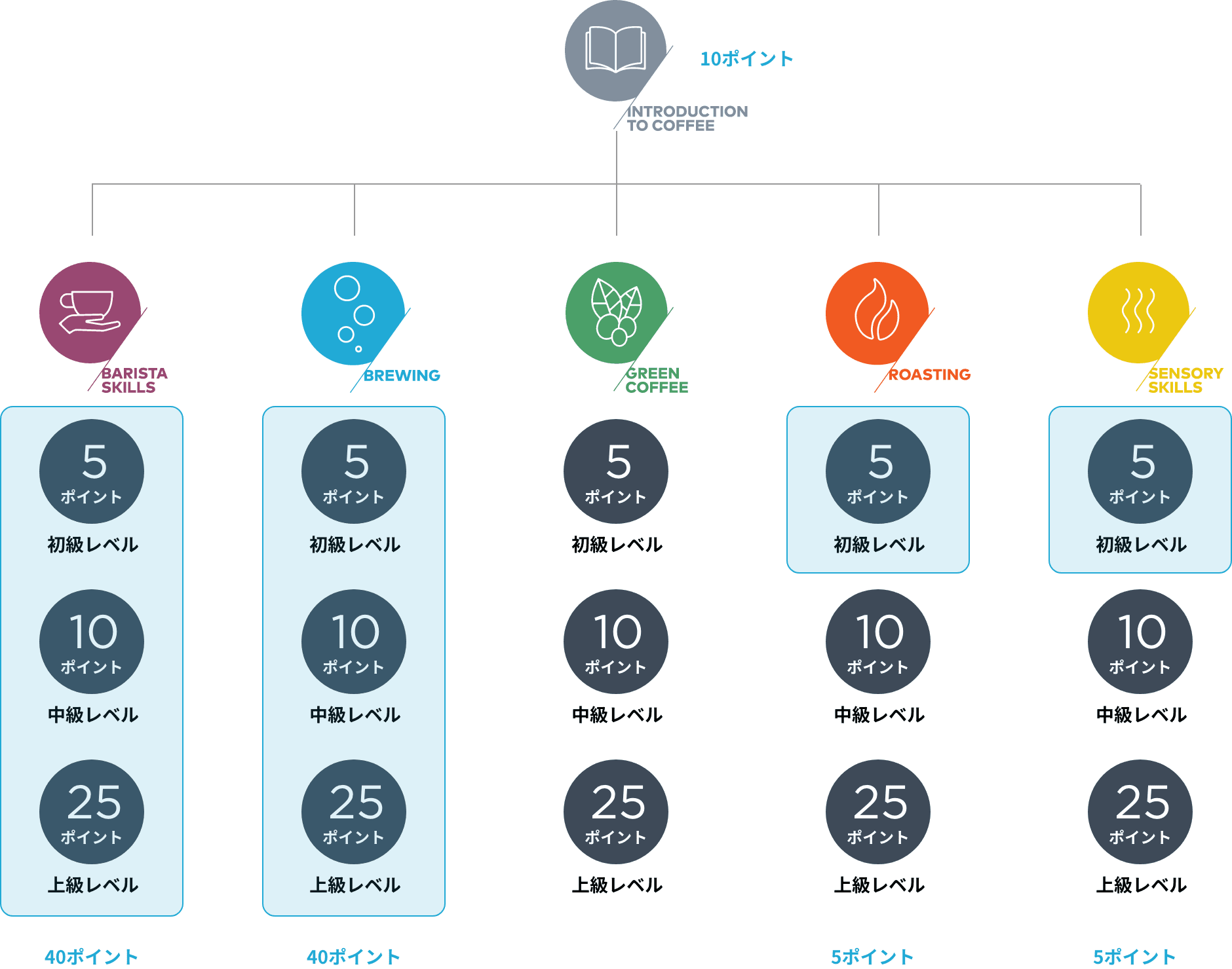 コーヒースキルズプログラム | プログラムの仕組み | UCC上島珈琲